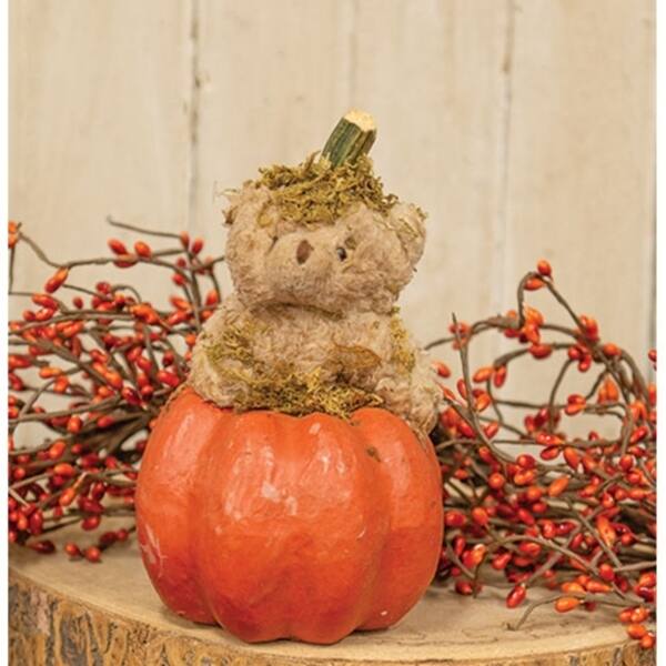 teddy pumpkins