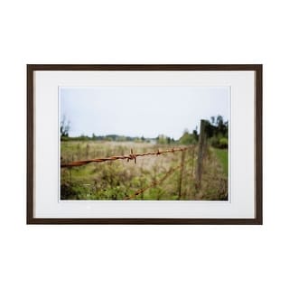 Barbed Wire Framed Art Print - Bed Bath & Beyond - 39192134