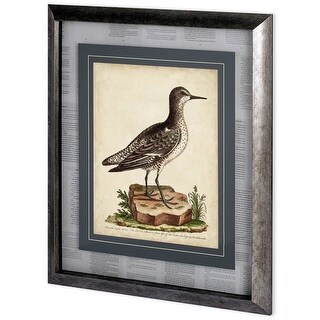 Antique Bird Menagerie V Framed Art Print - Bed Bath & Beyond - 39192092