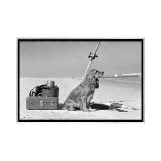 iCanvas "Cocker Spaniel Dog Standing Guard Over Two Caught Fish And ...