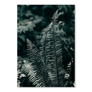 Americanflat - Green Ferns by Torrey Merritt - 16"x20" Poster Art Print ...