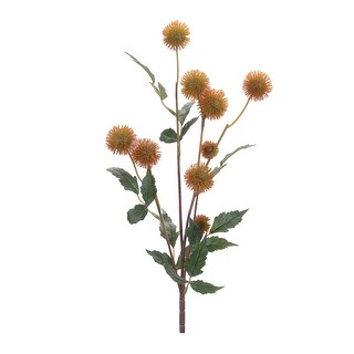 Thistle Pod Branch (Set of 6) - Bed Bath & Beyond - 42960934