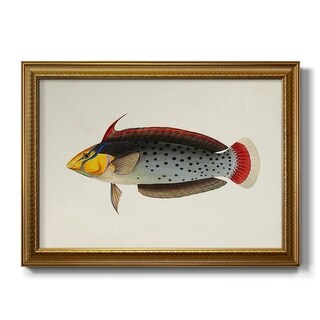 Tropical Fish Collection IV Premium Framed Canvas- Ready to Hang - Bed ...