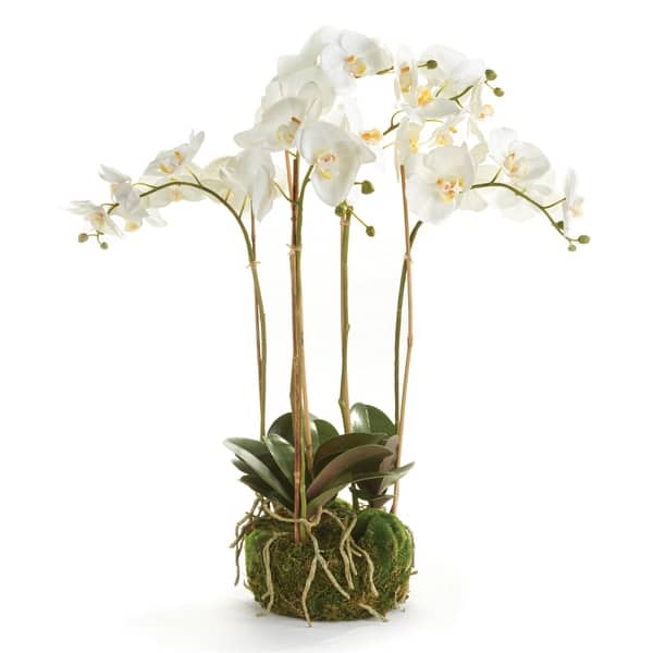 Everwhite Orchid Drop-In 25" - White - Bed Bath & Beyond - 37624274