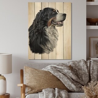 Designart 'Drawing Bernese Mountain Dog Portrait' Traditional Wood Wall ...