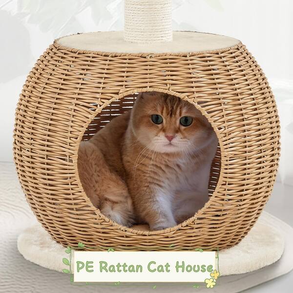 luxury cat baskets