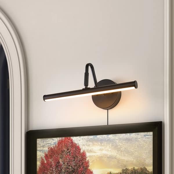 Dimmable LED Picture Light Fixture, Plug in/ Hardwired, 3000K/ 4000K ...