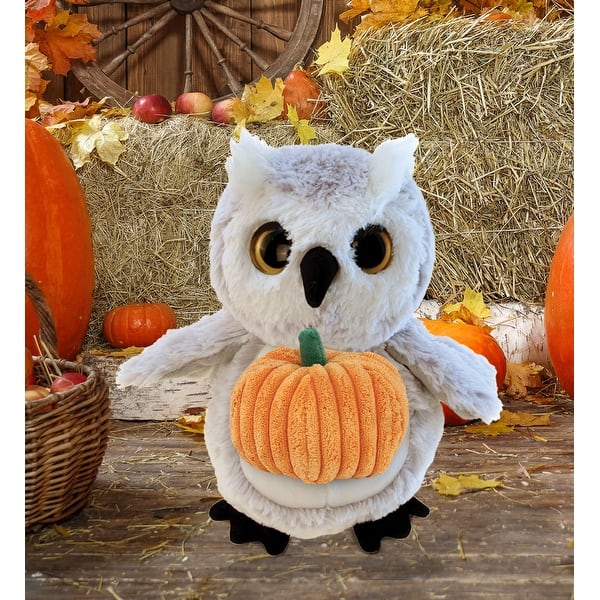 halloween pumpkin owl designs