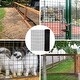 48inX50ft Black Welded Wire Fence Screen for Poultry-Netting Cage ...