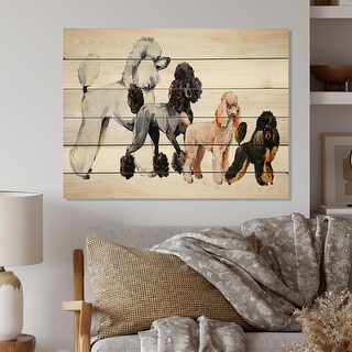 Designart 'Poodle Breed Dog Collection' Traditional Wood Wall Art ...