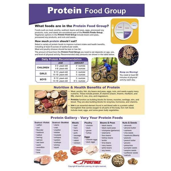Sportime Protein Food Group Visual Learning Guide, 4 Pages, Grades 5 to ...