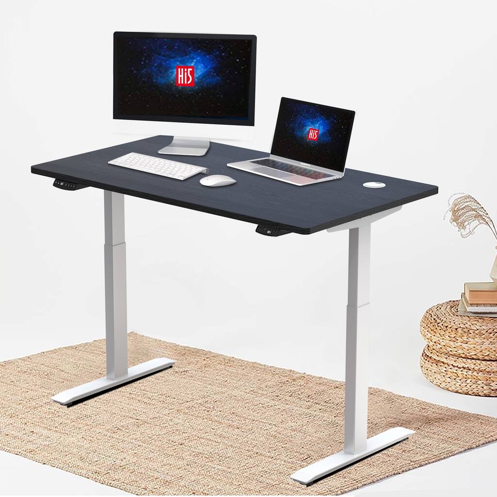 Hi5 47-inch Electric Height-adjustable Standing Desk - Overstock - 32309510