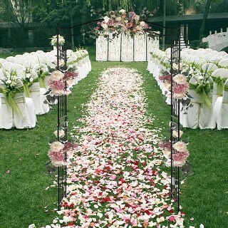 Bridge Roof Wrought Iron Arches Plant Climbing Frame - 8' x 10' - Bed ...