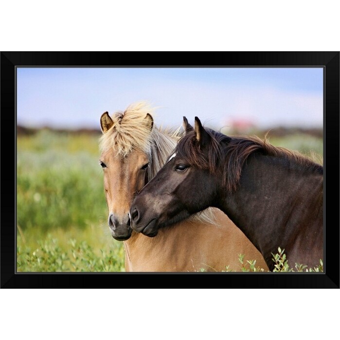 two horses nuzzling