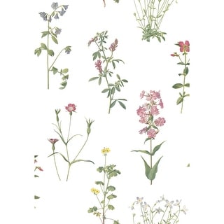 RoomMates Green & Pink Botanical Print Peel and Stick Wallpaper - Bed ...