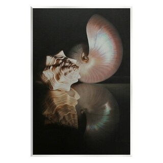 Stupell Dark Sea Shells Still Life Wall Plaque Art, Design by Cecile ...