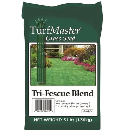 TurfMaster 28-08560 Tri-Fescue Blend Grass seed, 3 Lbs - Bed Bath ...