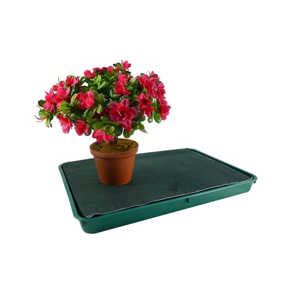 Green Self-Watering Trays for Pots - Large or Windowsill - Bed Bath ...