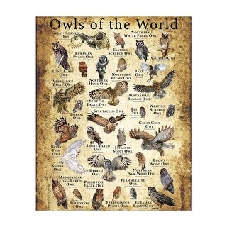 Owls of the World Illustrations Animals Wildlife Art Print/Poster - Bed ...