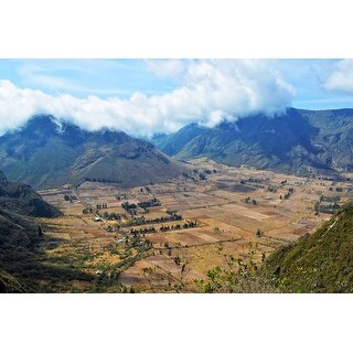 Nature Tree Ande Photograph Art Print Wall Artwork Decor - Bed Bath ...