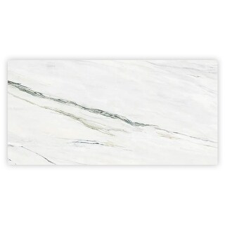 Apollo tile 24" x 48" Splendor Polished White with Green Vein Porcelain ...