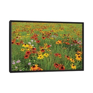 iCanvas "Colorful Prairie" by Brian Wolf Framed - Bed Bath & Beyond ...