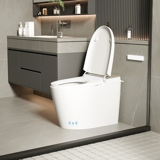 Luxury One Piece Smart Toilet with Bidet Built in, Bidet Toilet with ...