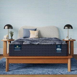 Serta Perfect Sleeper X Excelled 14.25" Hybrid Plush Mattress Set - Bed ...