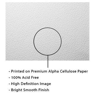 Tokay Gecko Underside Detail Of Foot With Scales That Have Natural ...