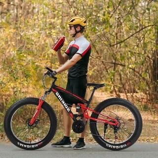 Fat Tire Men Mountain Bike, 17-Inch / Medium High-Tensile Frame - Bed ...