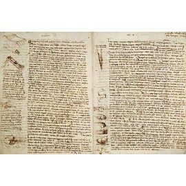 The Codex Hammer by Leonardo Da Vinci Antiquity Art Print - Bed Bath ...