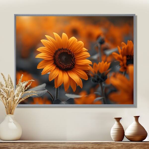 sunflower framing