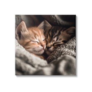 Stupell Cuddling Kittens Portrait Canvas Wall Art Design by Roozbeh ...