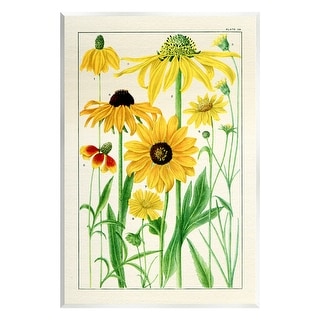 Stupell Vintage Yellow Daisies Wall Plaque Art Design by Piddix - Bed ...