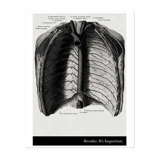 Breathe Collage Self Love Art Print/Poster - Bed Bath & Beyond - 34926437