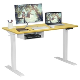 48''Electric Standing Desk Height Adjustable w/Control Panel& USB Port ...
