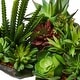 Pure Garden 3-Piece Artificial Succulent Plant Set - Set of 3 - Bed ...