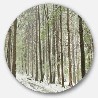 Designart 'Spring Beech Forest Scenery' Landscape Photo Round Wall Art ...