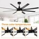 65 Inch Black/White/Gold LED Ceiling Fan with Light Remote(8-Blade ...