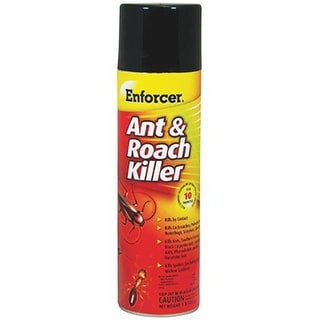 ZEP Enforcer 16Oz Ant & Roach Killer EARK16 Unit: EACH - Bed Bath ...