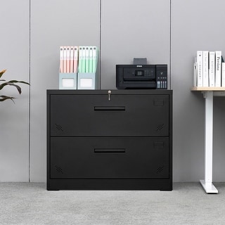 2 Drawer Lateral Filing Cabinet for Legal/Letter A4 Size,Black - Bed ...