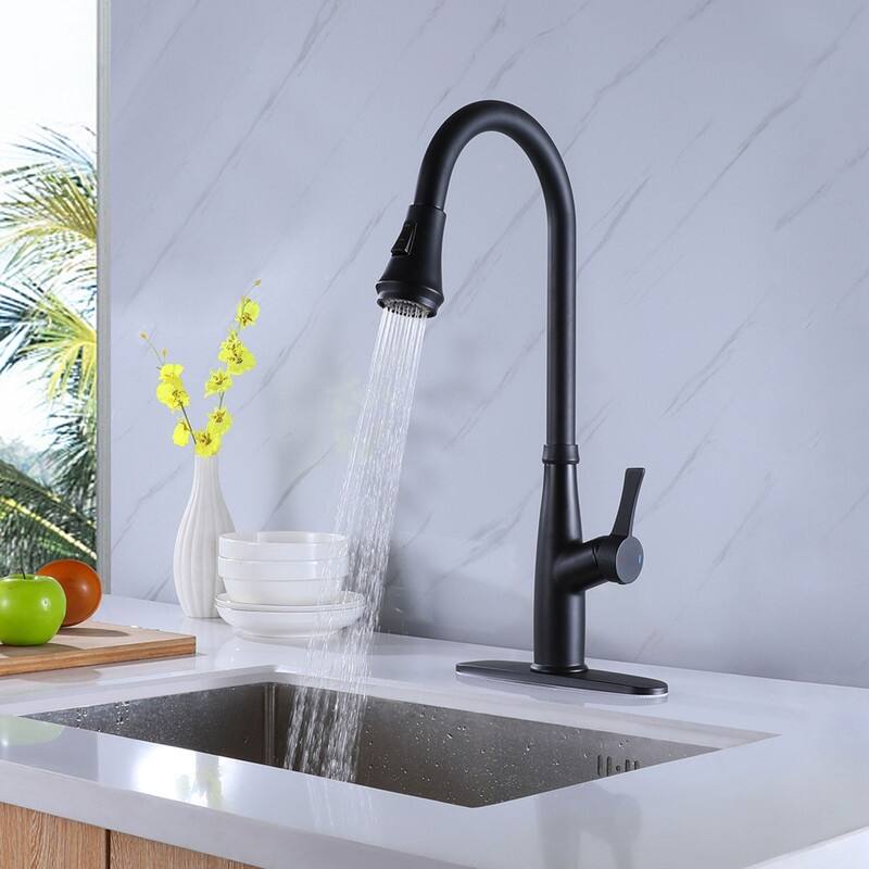 Single Handle Kitchen Sink Faucet with Pull Down Sprayer - Overstock ...