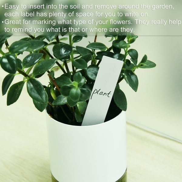PVC Plant Label Stakes 4x2cm Water Resistant for Garden 5 Color 100pcs ...