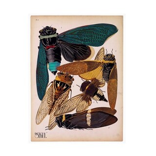 Print Collection 'Insects Plate 1' Canvas Art - Bed Bath & Beyond ...