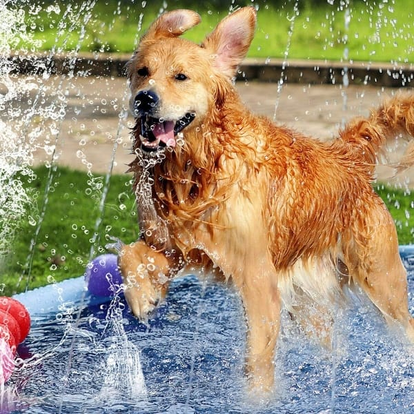 Splash Play Mat Inflatable Outside Water Toy Sprinkler Pad Kid Toddler ...