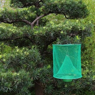 The Ultimate Red Drosophila Fly Trap Device Top Catcher Fly Wasp Insect ...