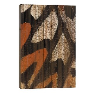 Butterfly Wing Macro-Photography XII Print On Wood by Darrell Gulin ...