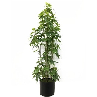 Faux Marijuana Cannabis Plant w/ Pot 59"H- A - Green - Bed Bath ...