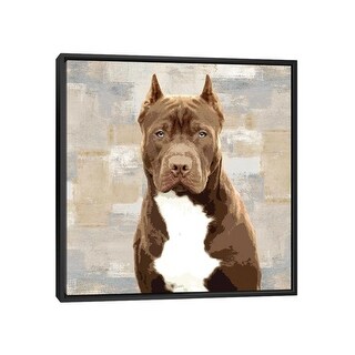iCanvas "Pit Bull" by Keri Rodgers Framed Canvas Print - Bed Bath ...