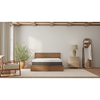 Omne Sleep Fria 12 Inch Soft Mattress With Cooling Cover - Bed Bath ...